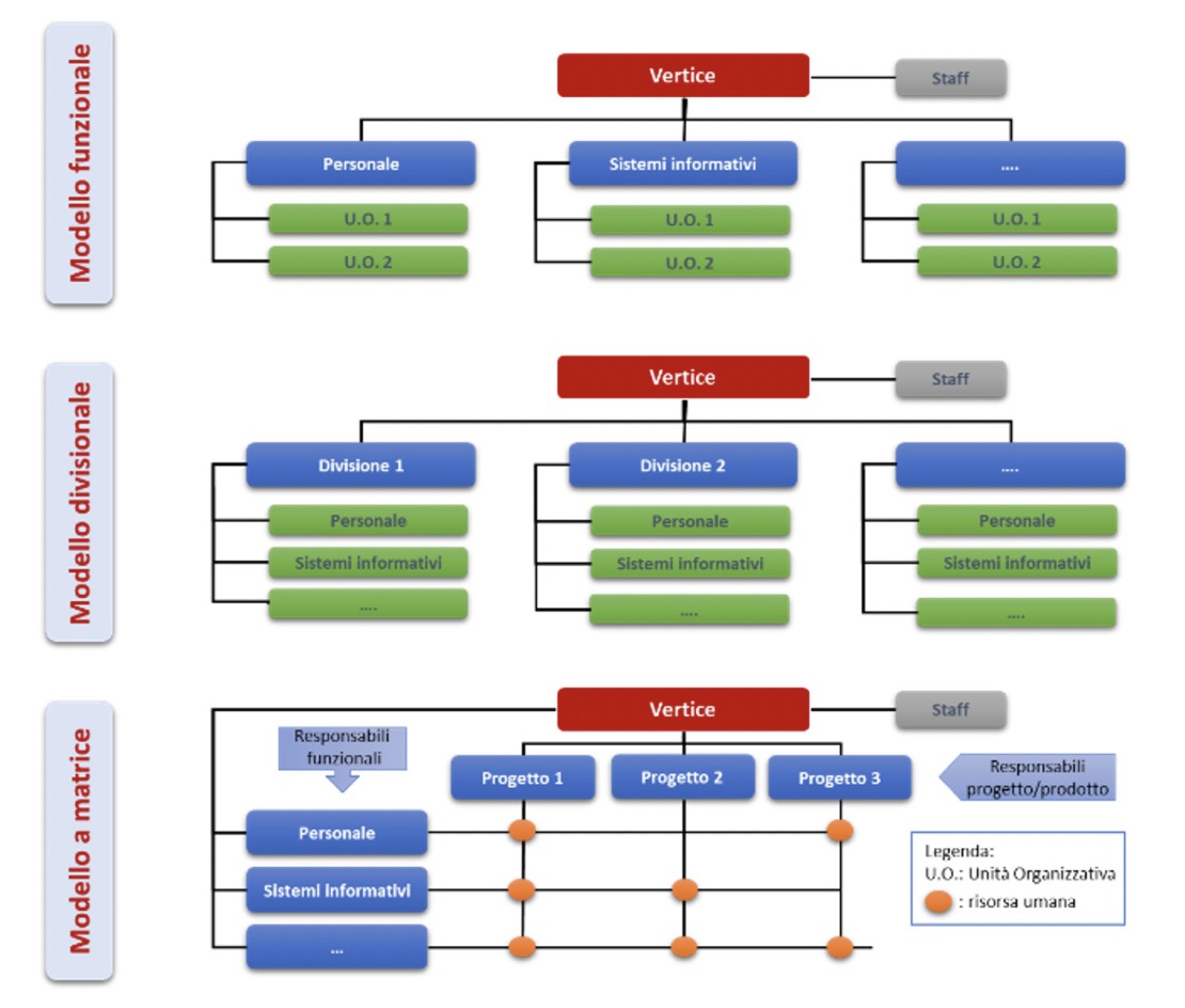 Costruire l'organizzazione