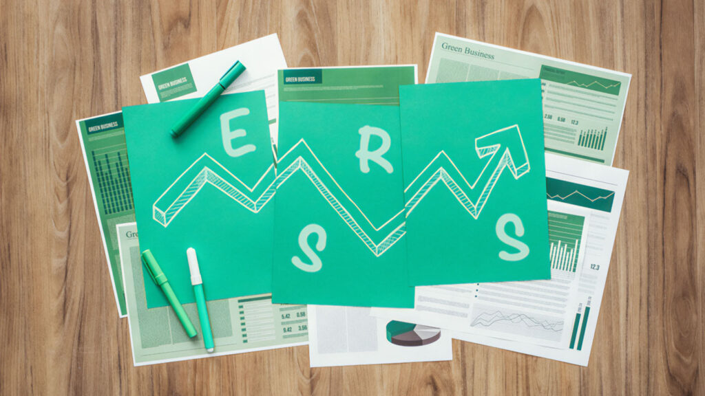 ESRS European Sustainability Reporting Standard: struttura