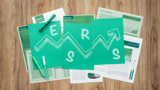 ESRS European Sustainability Reporting Standard: struttura