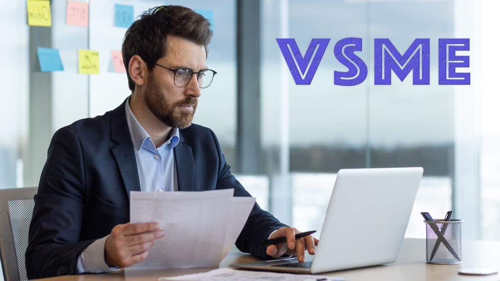 VSME: il nuovo standard EFRAG di rendicontazione volontaria